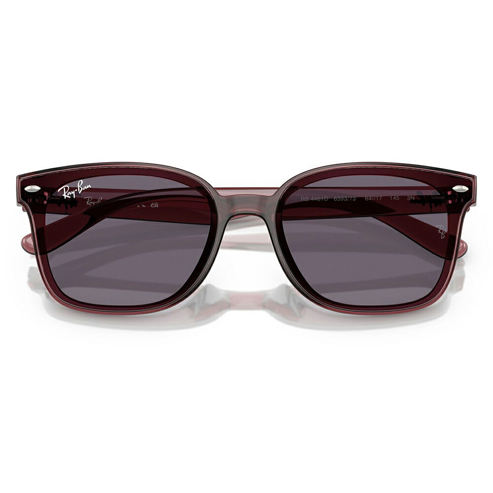 【正規品販売店】レイバンサングラス RB4461D 659373 64 Ray-Ban レイバン純正レンズ対応 レクタングル セル ユニセッ ...
